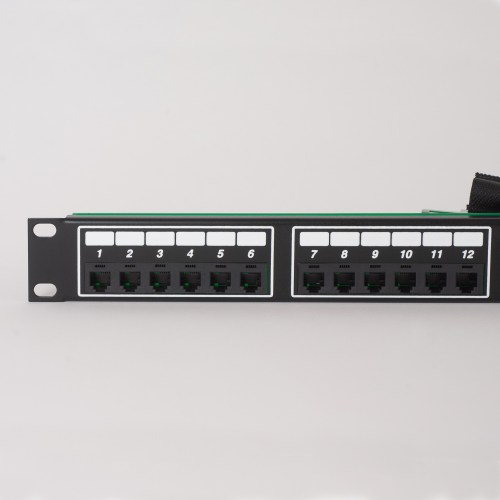 Voice 6P2C Patch Panel with Male Telco in 24 Ports and 1 RMS - ICC