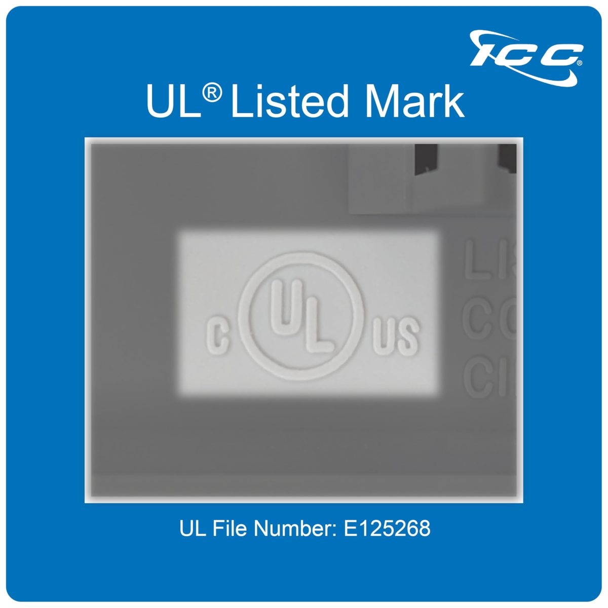 ICC Angled 2-Port Keystone Wall Plate, UL Listed, Durable ABS Plastic ...