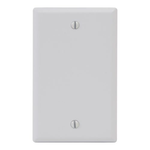 Faceplate Blank with Single Gang - ICC