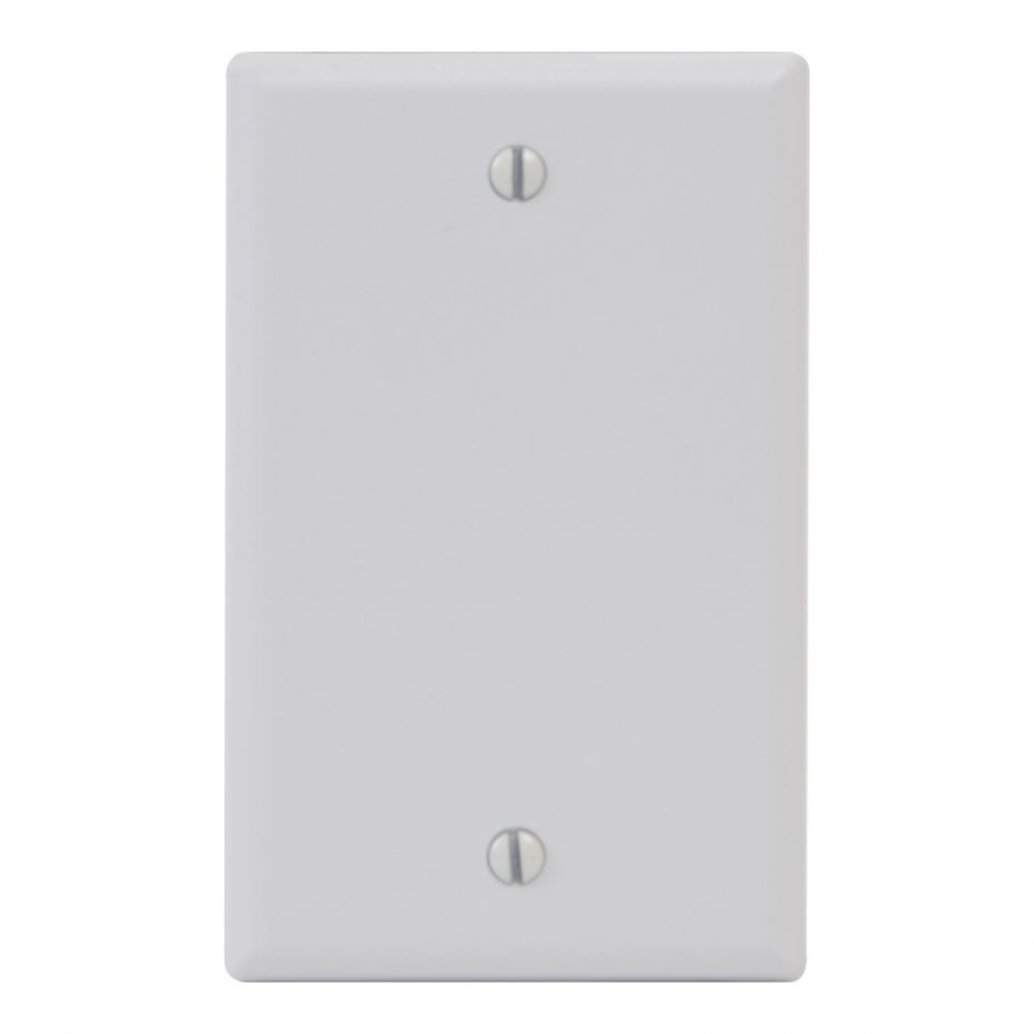 Faceplate Blank with Single Gang - ICC