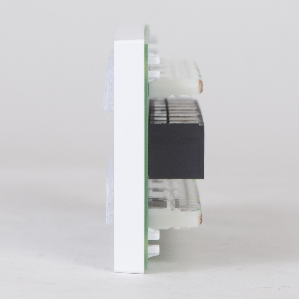 8-Port CAT 6 Data Module with Hook-and-Loop Adhesive Mounting Strips - ICC