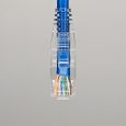 ICC CAT6 Ethernet Patch Cord with Clear Boot Strain Relief, RJ45 ...