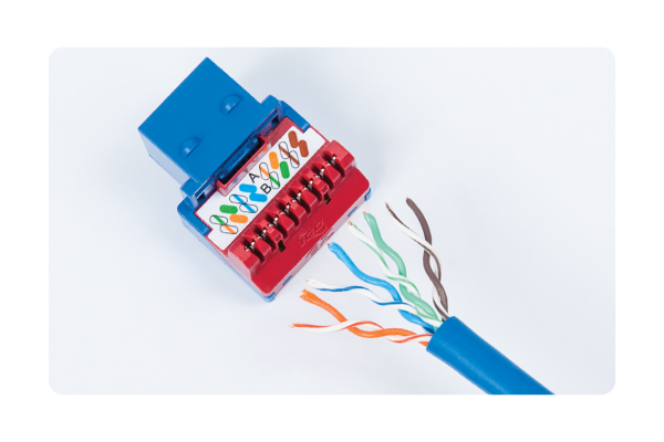 Keystone Jacks Archives - ICC