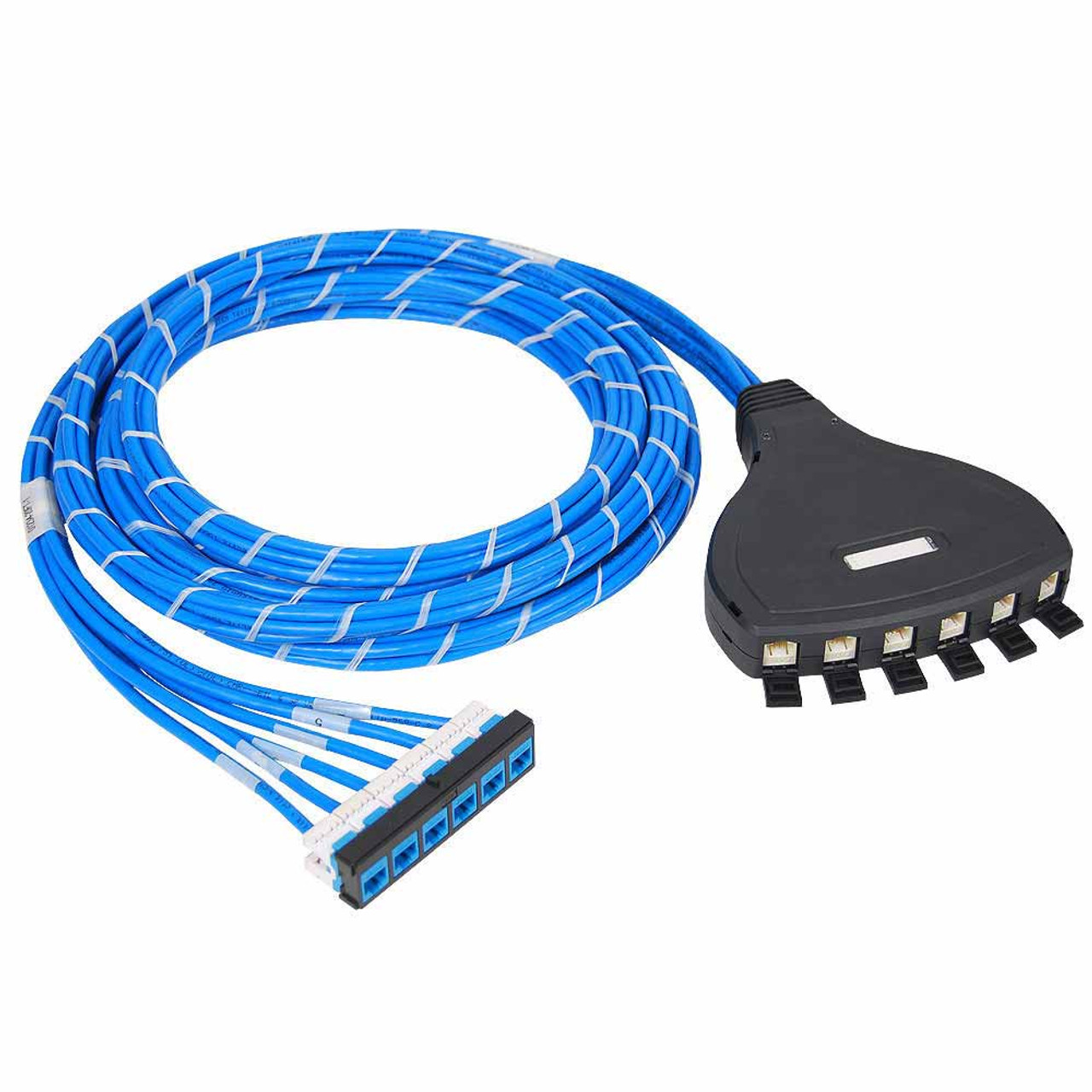 Cablesys Brand Pre-Terminated UTP Cassette Patch Panel with CMR CAT6e ...